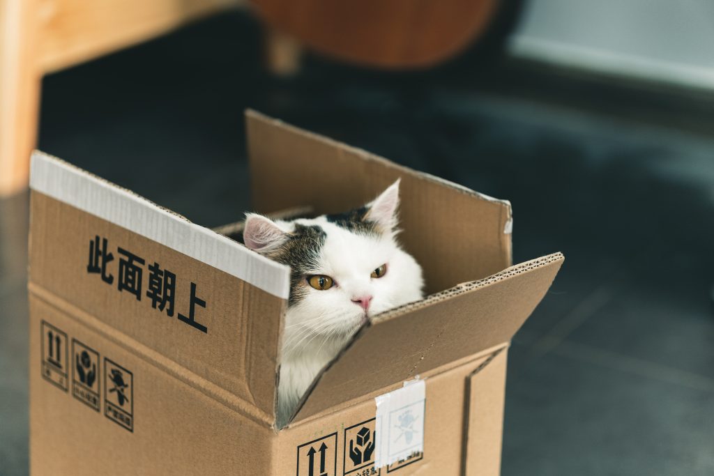 Out of the box denken? - Filosofische Praktijk Kom Denken